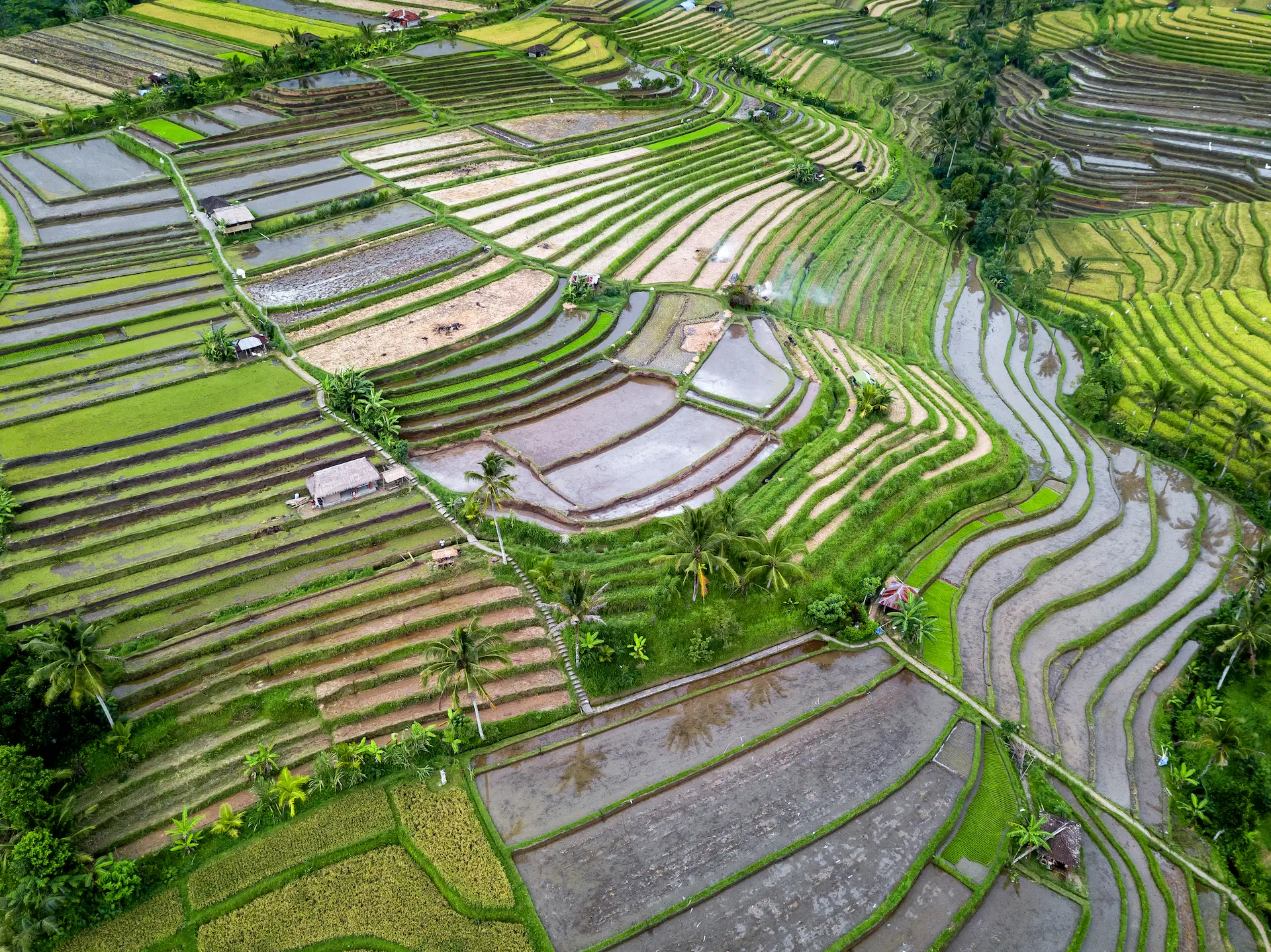 Inkomoko | The Audacious Project